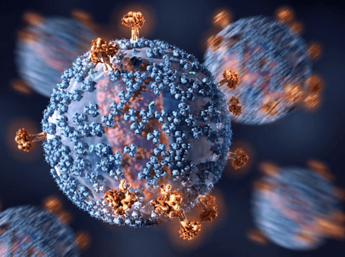 Nine characteristics shared by the most successful mAb – Creative ...